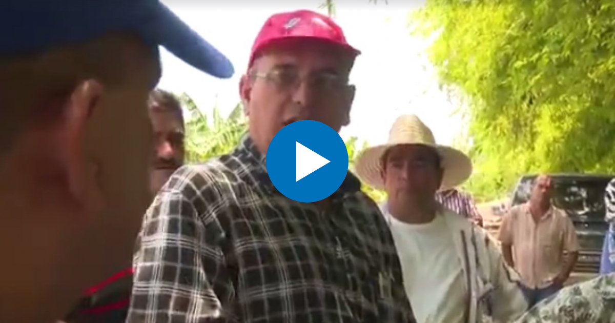 Ministro cubano de Agricultura insta a la "recuperación" del plátano burro