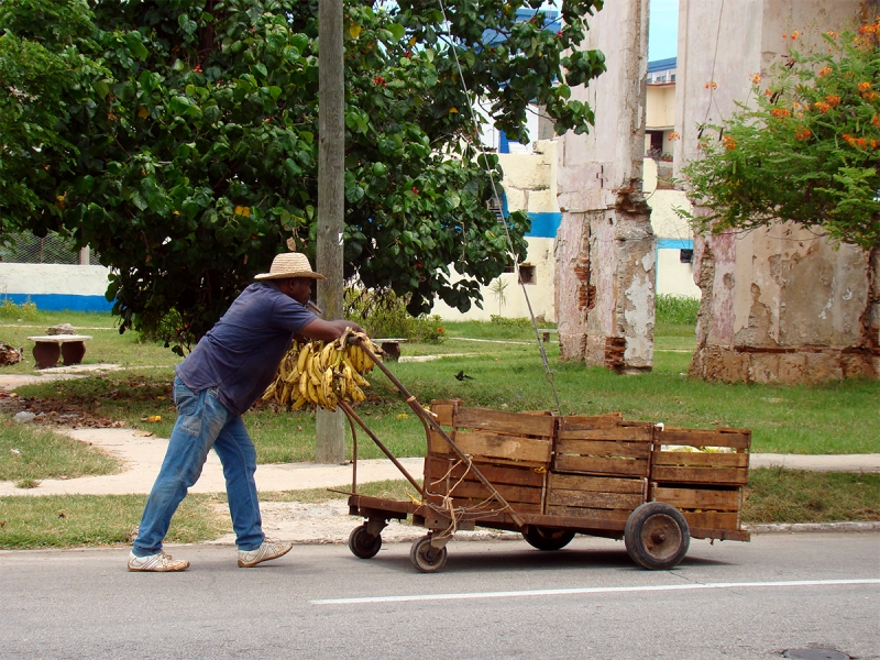 Carretillero y sus frutas - CiberCuba