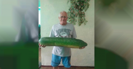 Cubano cultiva un pepino gigante en su casa de Matanzas