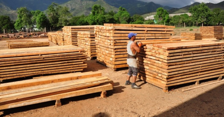 Gobierno de Cuba venderá madera en MLC