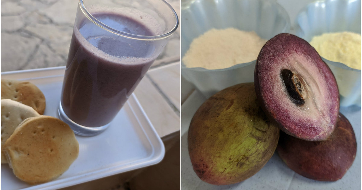 Batido de caimito, bebida exótica, dulce y aromática