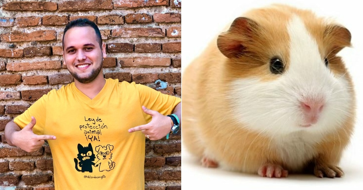 Javier Larrea Formoso: Defensor de los animales en Cuba: "No es ...