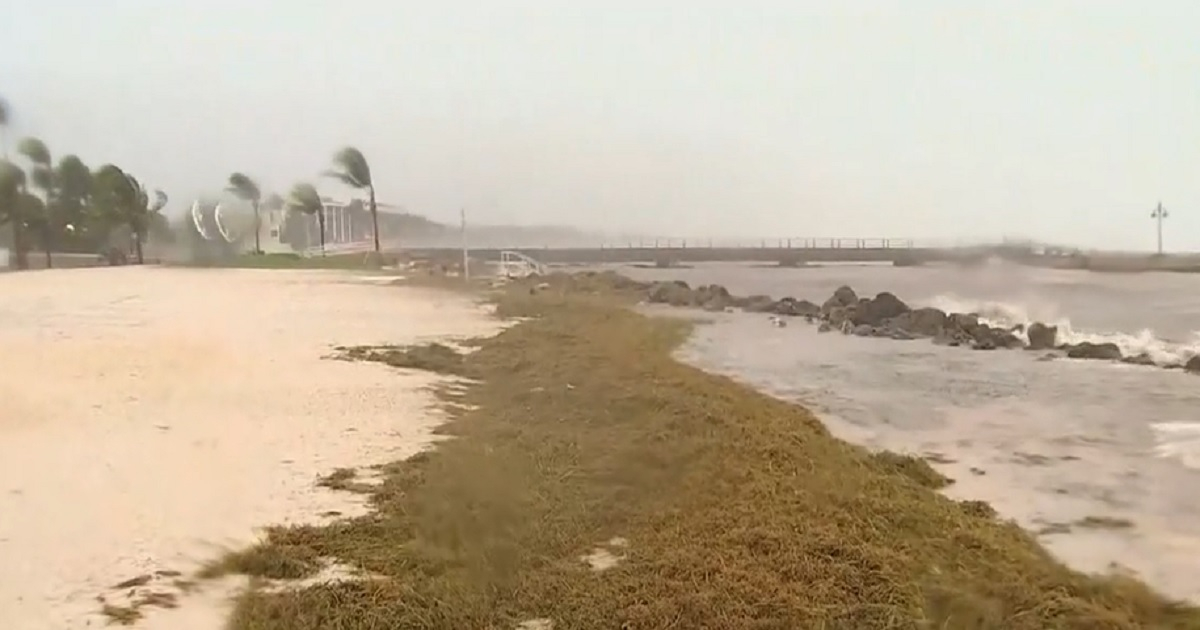 Elsa golpea con vientos de tormenta tropical los Cayos de Florida
