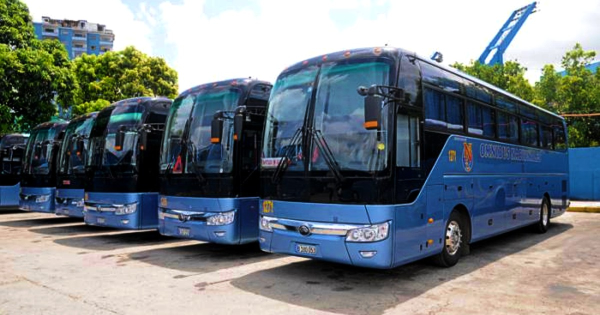 MITRANS restablece servicios de transporte por ómnibus y trenes nacionales