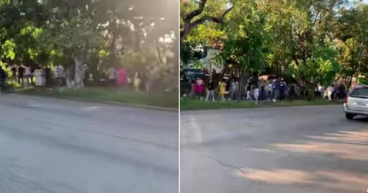 Isla en fuga: Enorme cola de cubanos para ser atendidos en embajada de ...