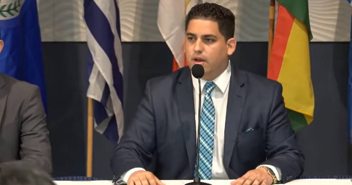 Félix Llerena exige ante la OEA la liberación de los presos políticos ...