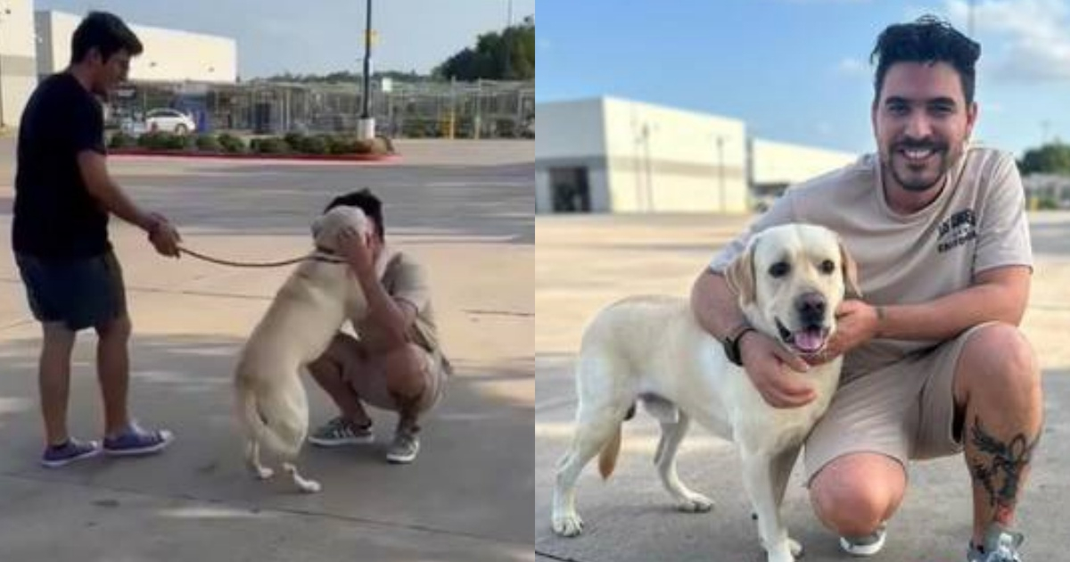 Joven cubano se reencuentra con su perro en Miami